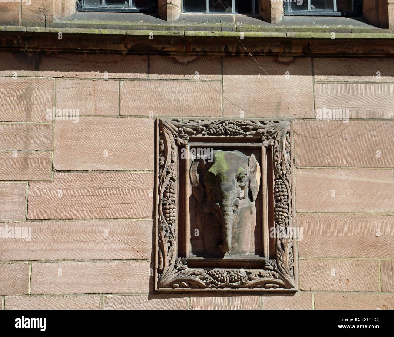 Elephant carving on the Council House in Coventry Stock Photo - Alamy