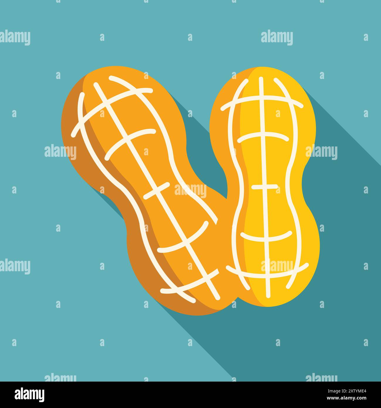 Simple vector illustration of two shelled peanuts with long shadows ...
