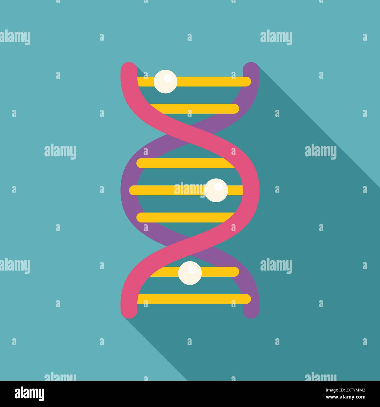 Illustration of a dna double helix structure forming with a long shadow ...