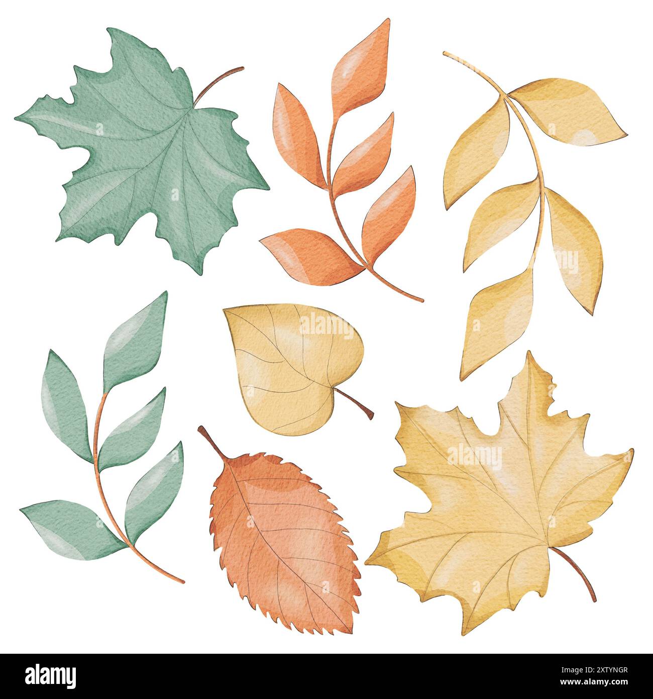 Autumn background with leaves and pumpkins Cut Out Stock Images ...