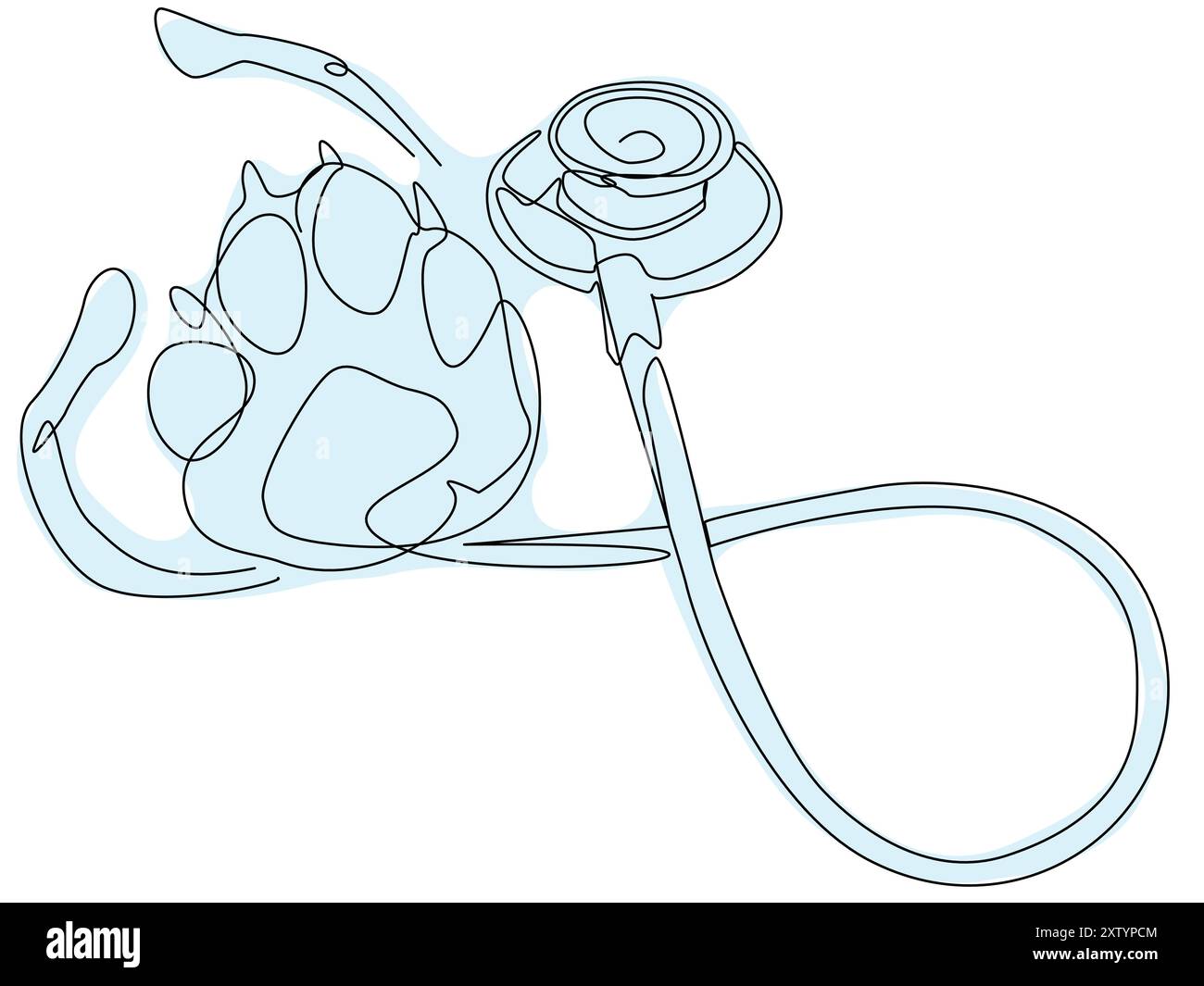 A Playful Illustration of a Stethoscope and a Paw Print Representing ...