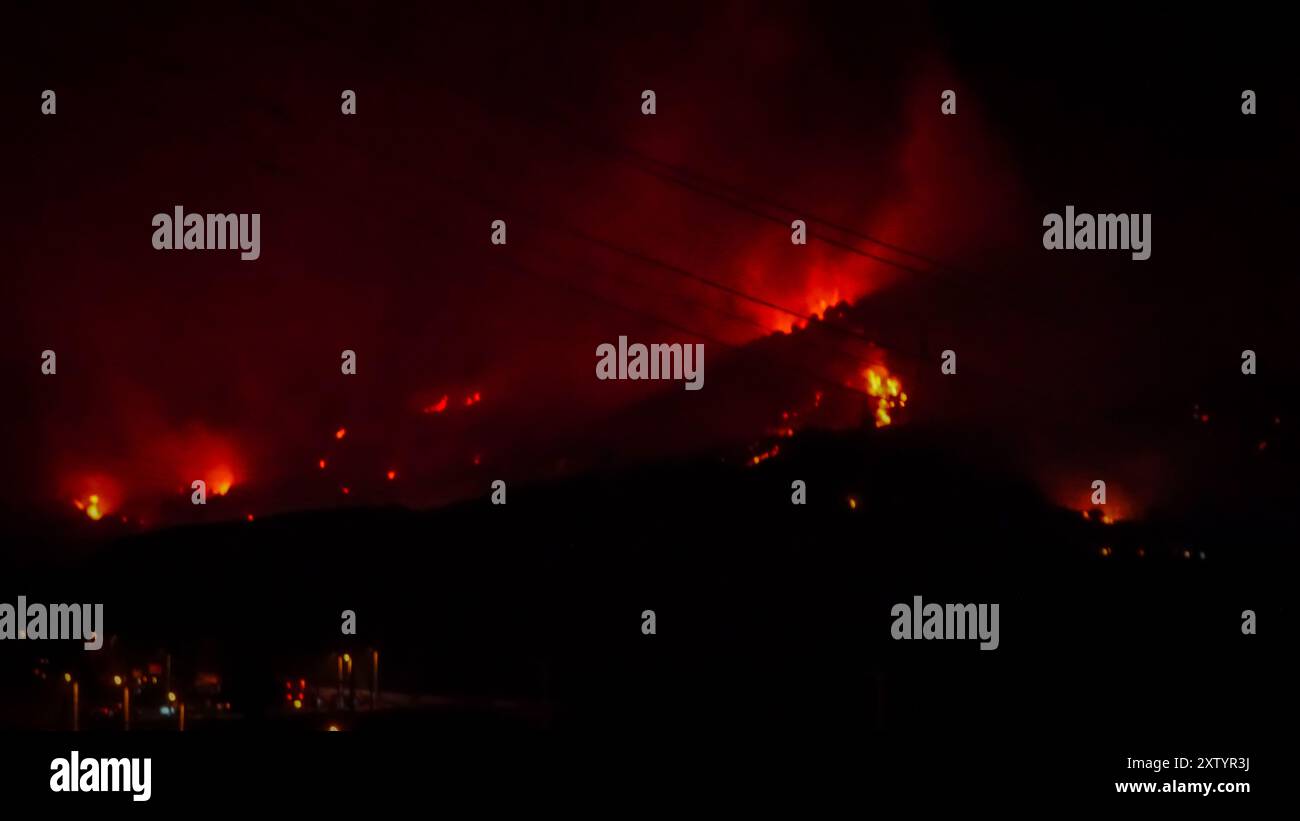 Efforts to extinguish Izmir wildfire that was started in a forest in ...