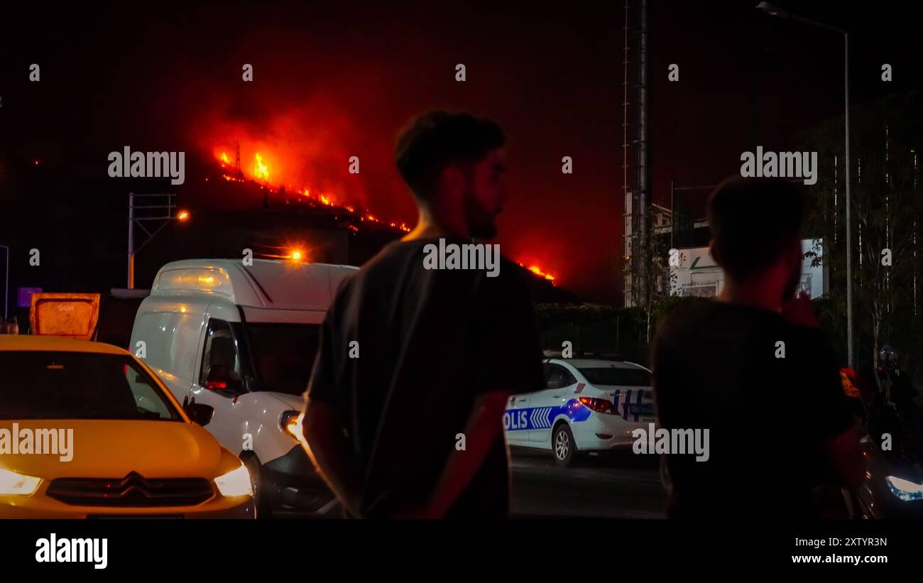 Efforts to extinguish Izmir wildfire that was started in a forest in ...