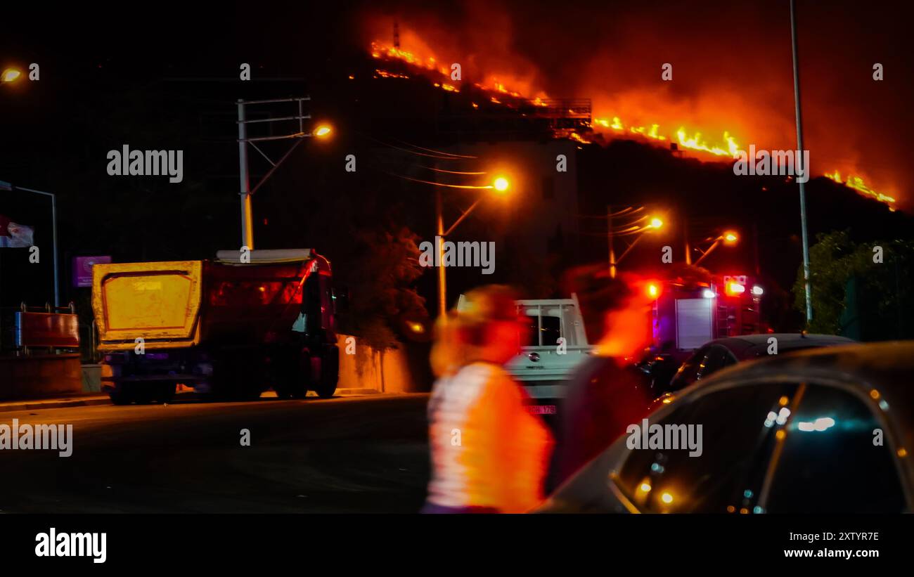 Efforts to extinguish Izmir wildfire that was started in a forest in ...
