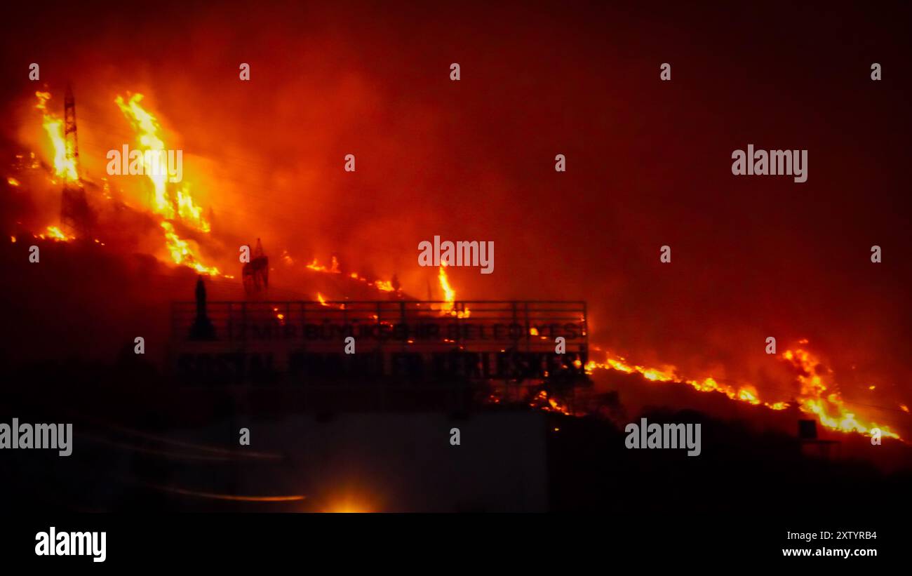 Efforts to extinguish Izmir wildfire that was started in a forest in ...