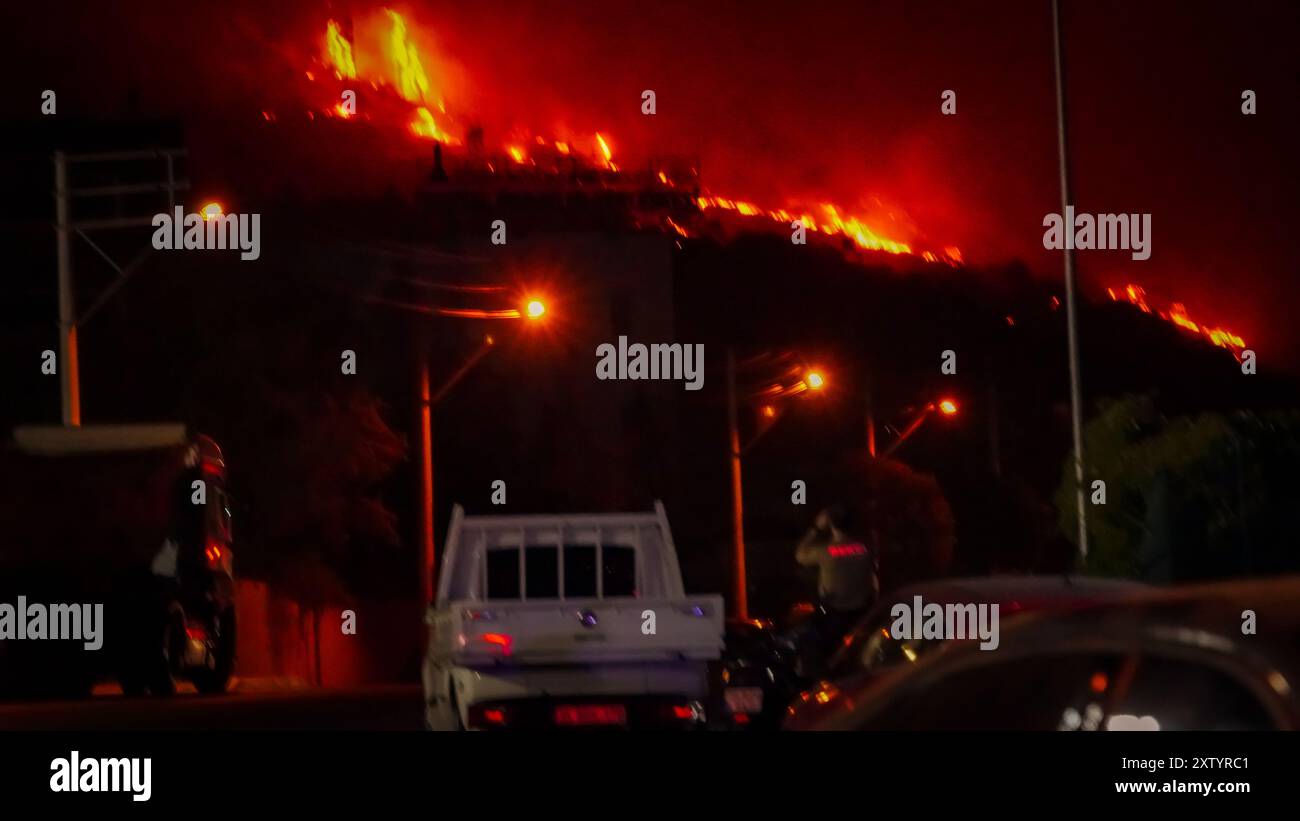 Efforts to extinguish Izmir wildfire that was started in a forest in ...