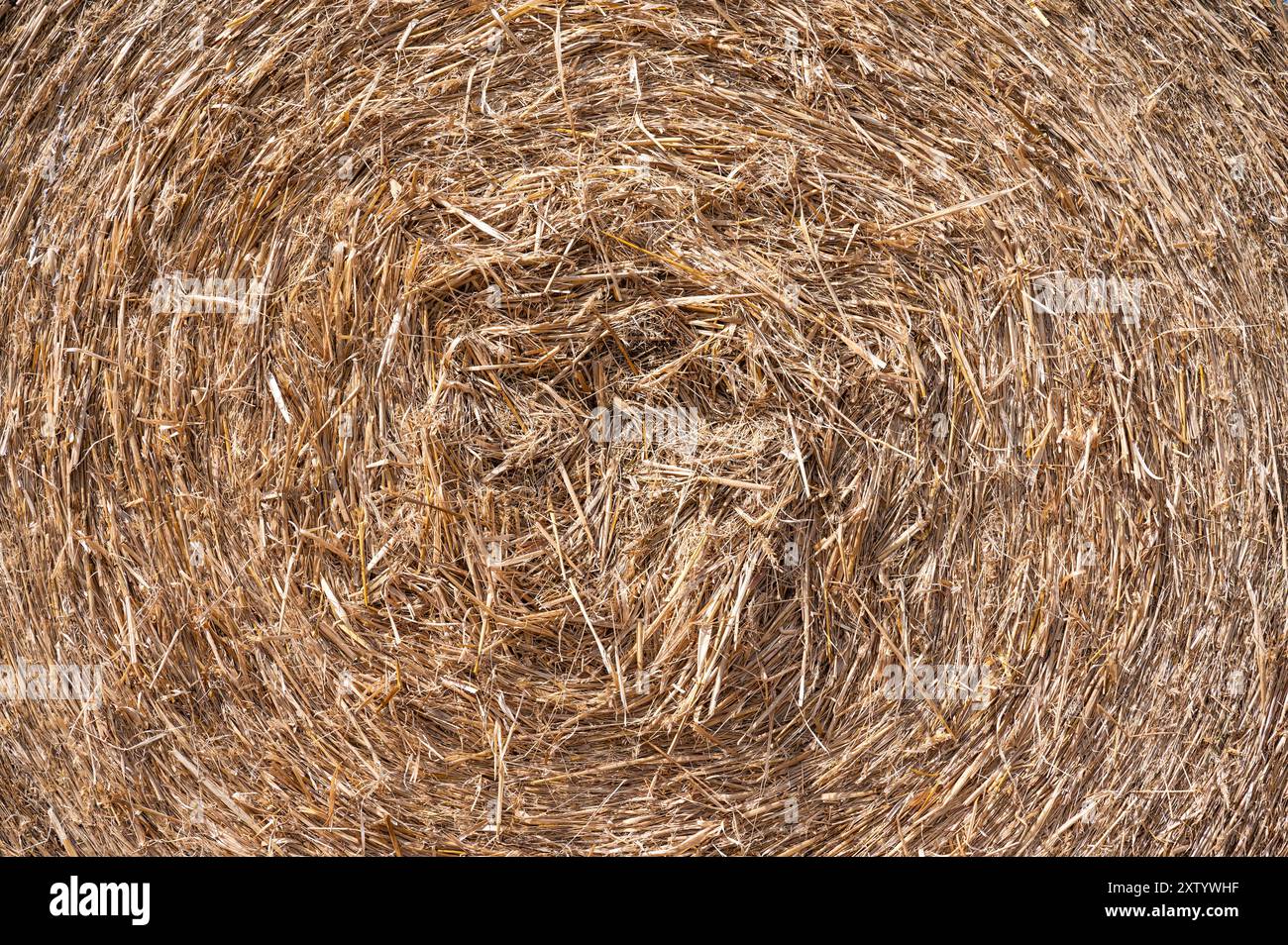 Mop pattern hi-res stock photography and images - Alamy