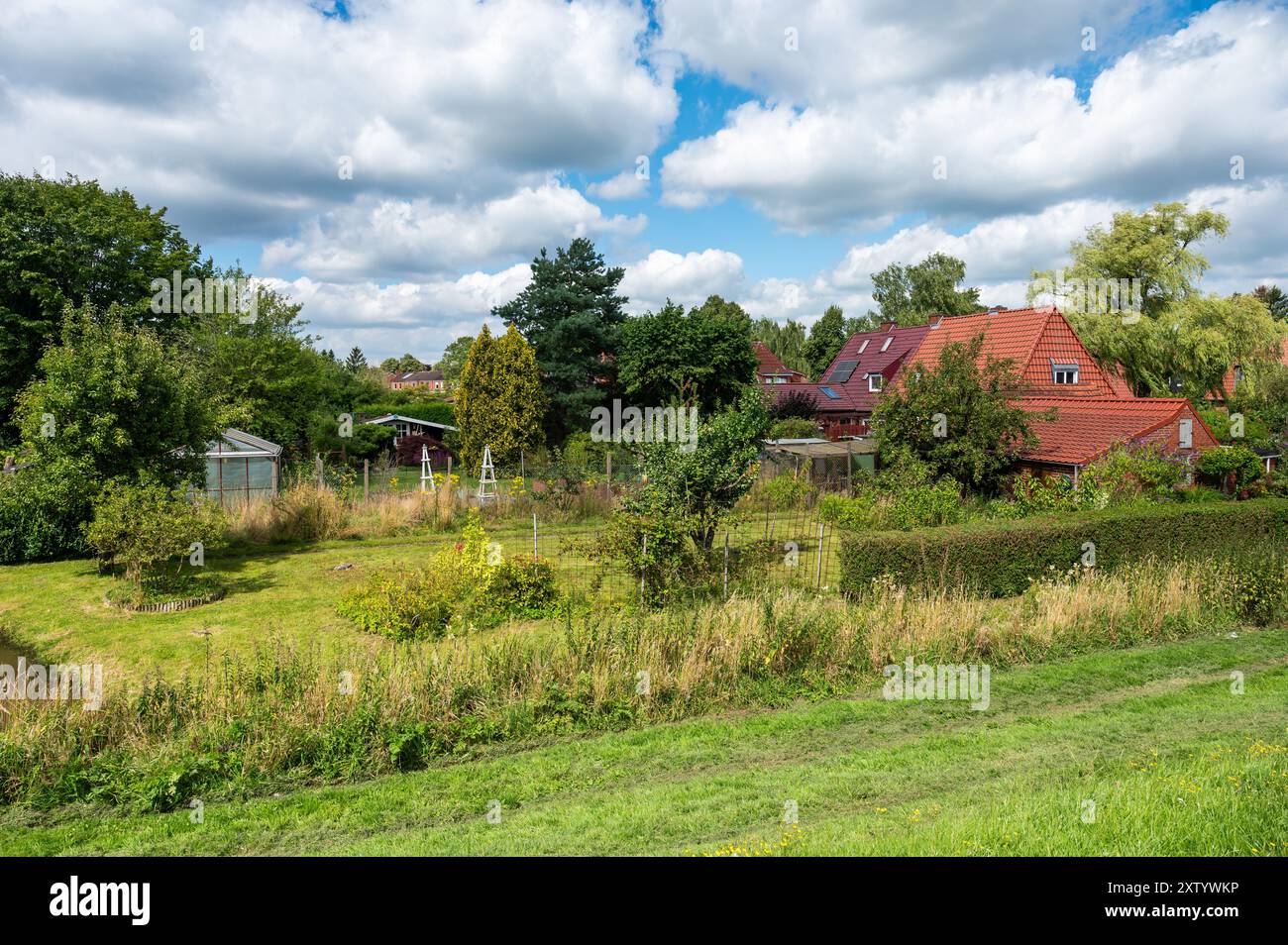 Green fields at the nature reserve of Kladdinger Wiesen, Bremen ...