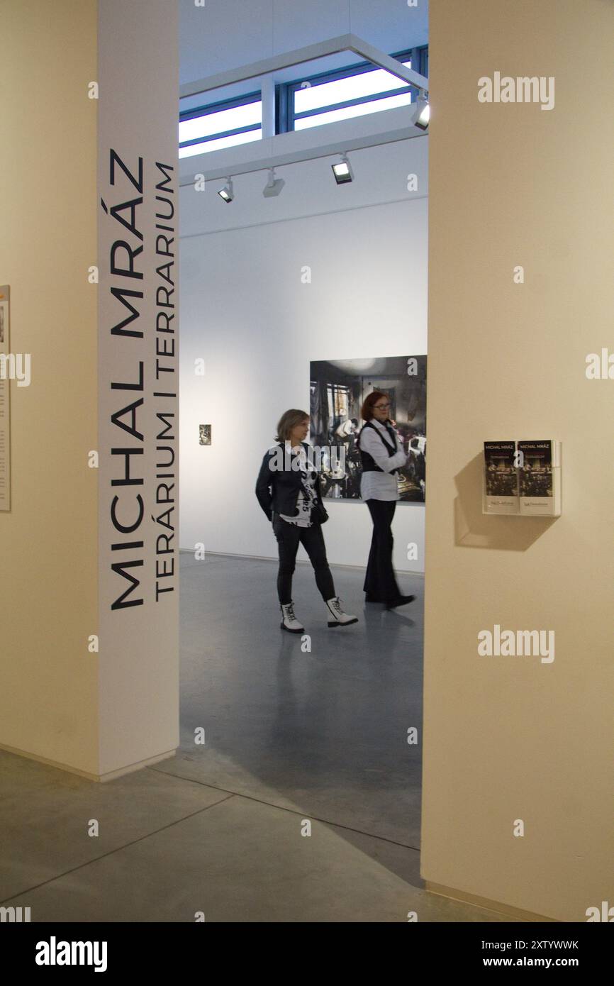 Visitor at Danubiana Meulensteen Art Museum, Slovakia Stock Photo - Alamy