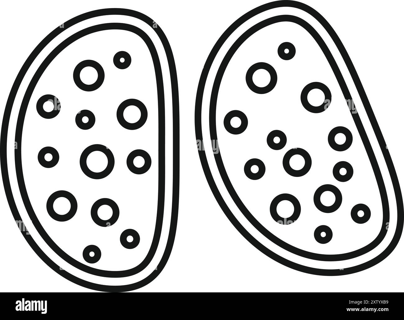 Simple line drawing of healthy human lungs highlighting alveoli for ...