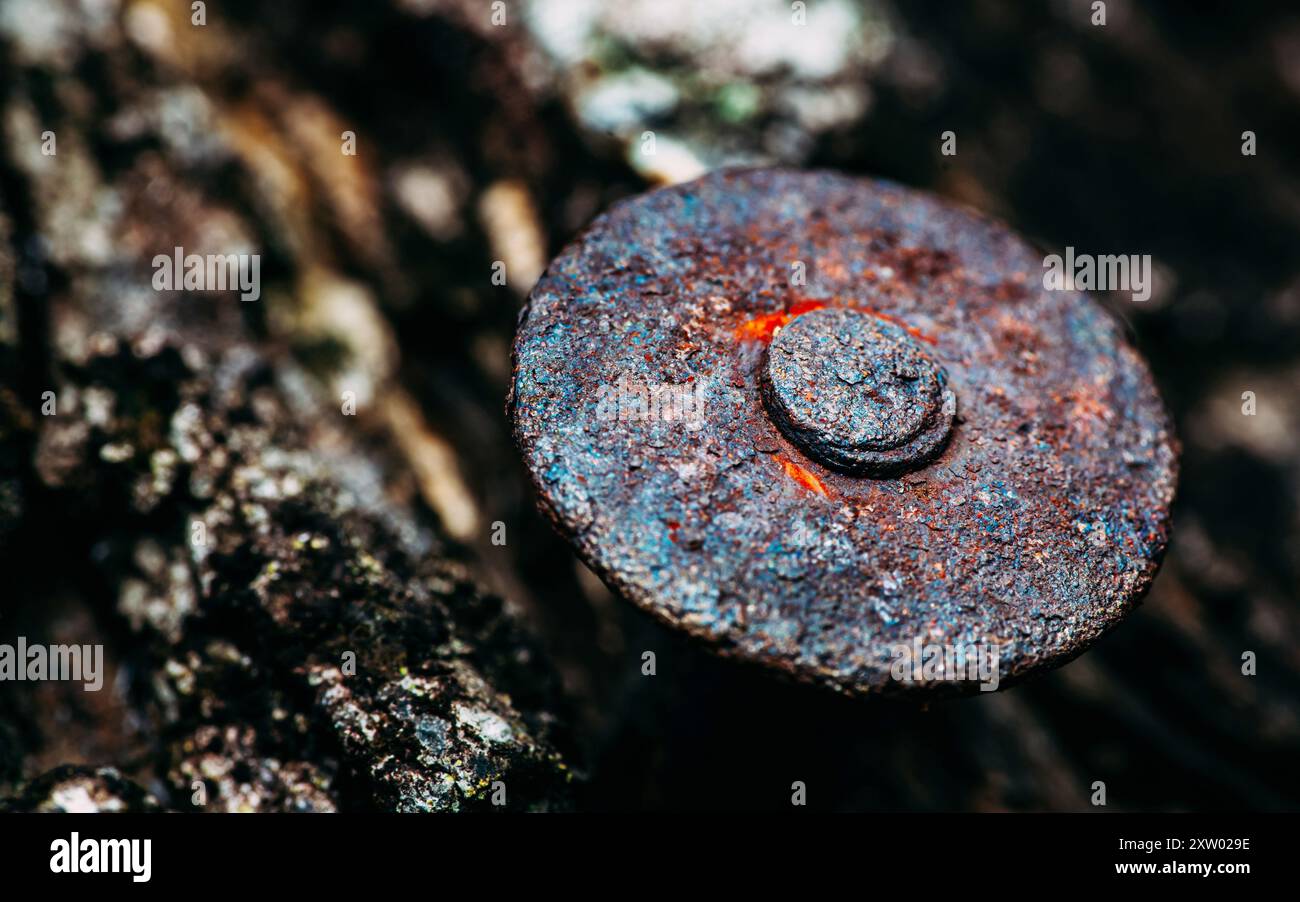 Nail to tree hi-res stock photography and images - Alamy