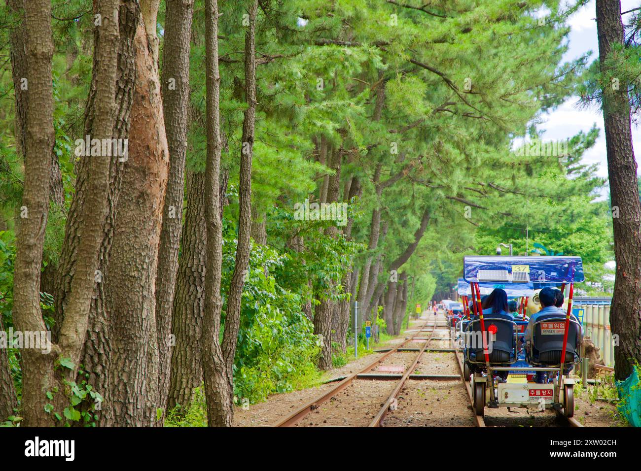 Samcheok, South Korea - July 29, 2024: A four-seater rail bike glides ...