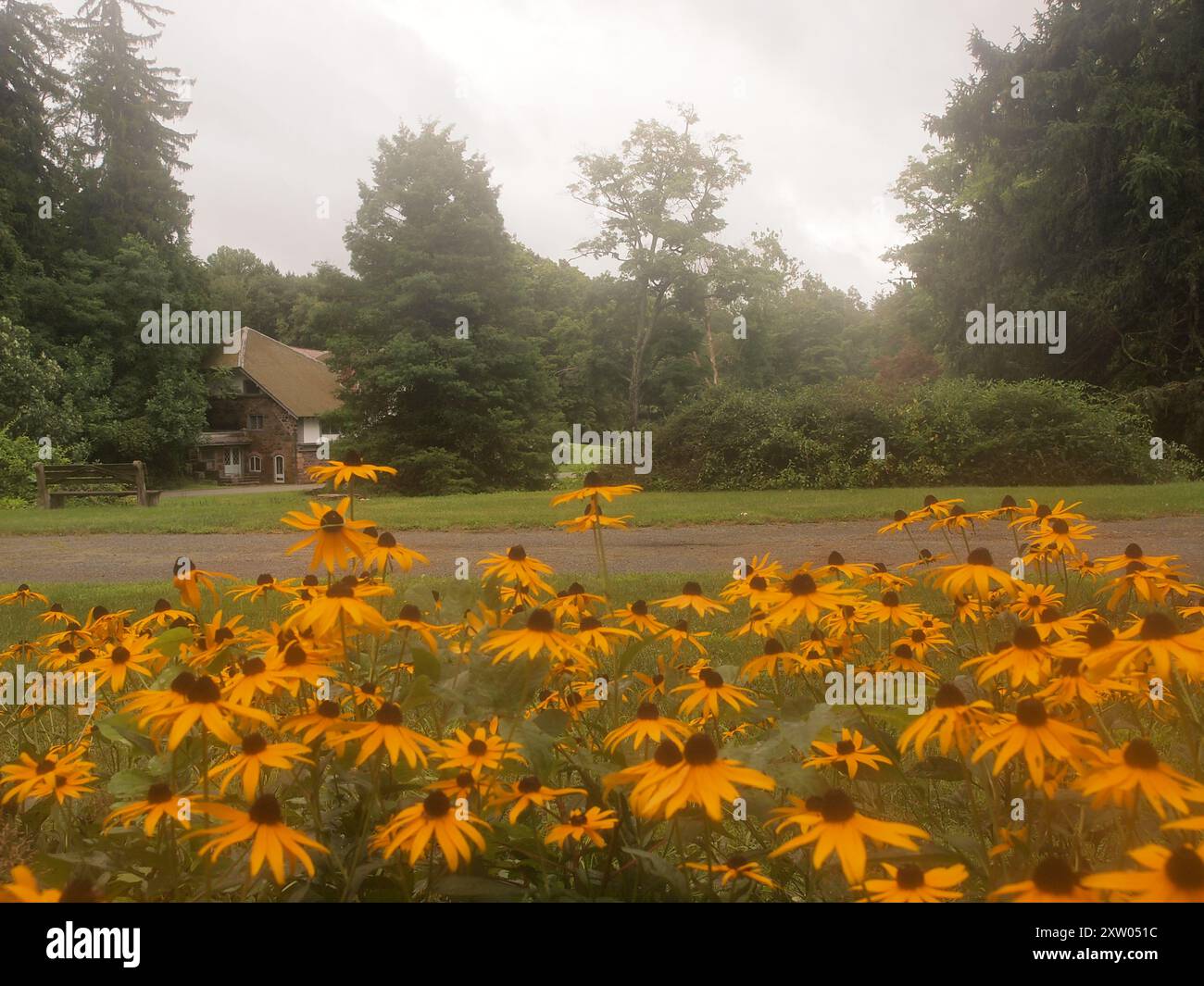 Ringwood State Park in Ringwood, New Jersey. Former home to the Hewitt ...