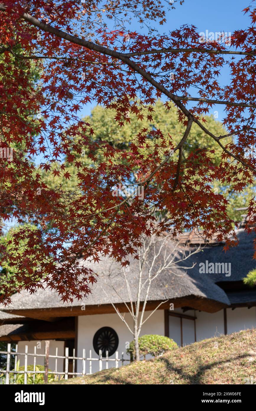 Hiroshima, Japan - December 4, 2023 : Shukkeien Garden autumn scenery ...