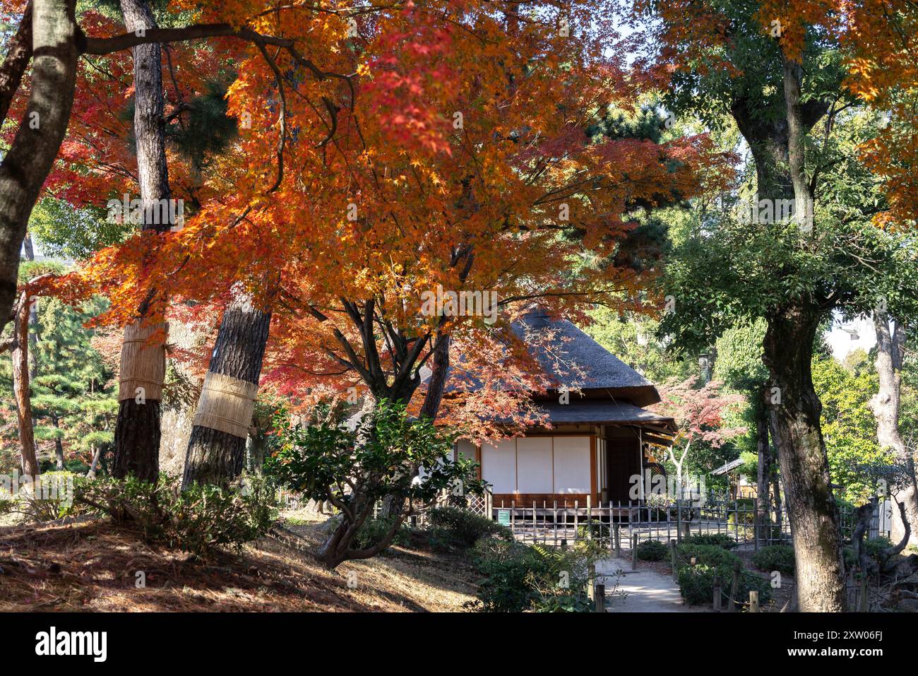 Hiroshima, Japan - December 4, 2023 : Shukkeien Garden autumn scenery ...