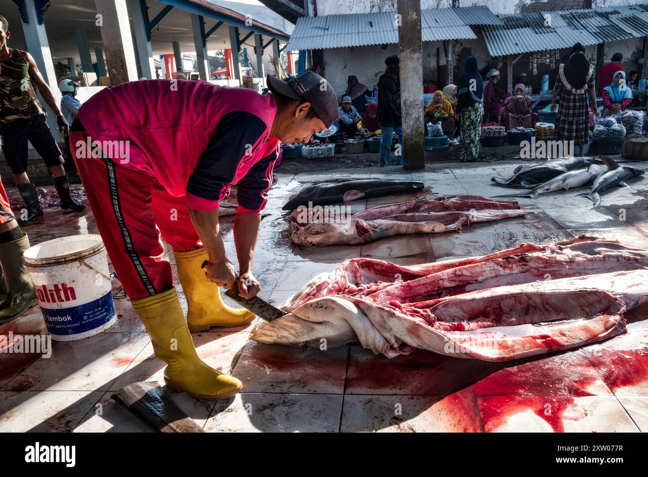 Tanjung luar fish market hi-res stock photography and images - Alamy