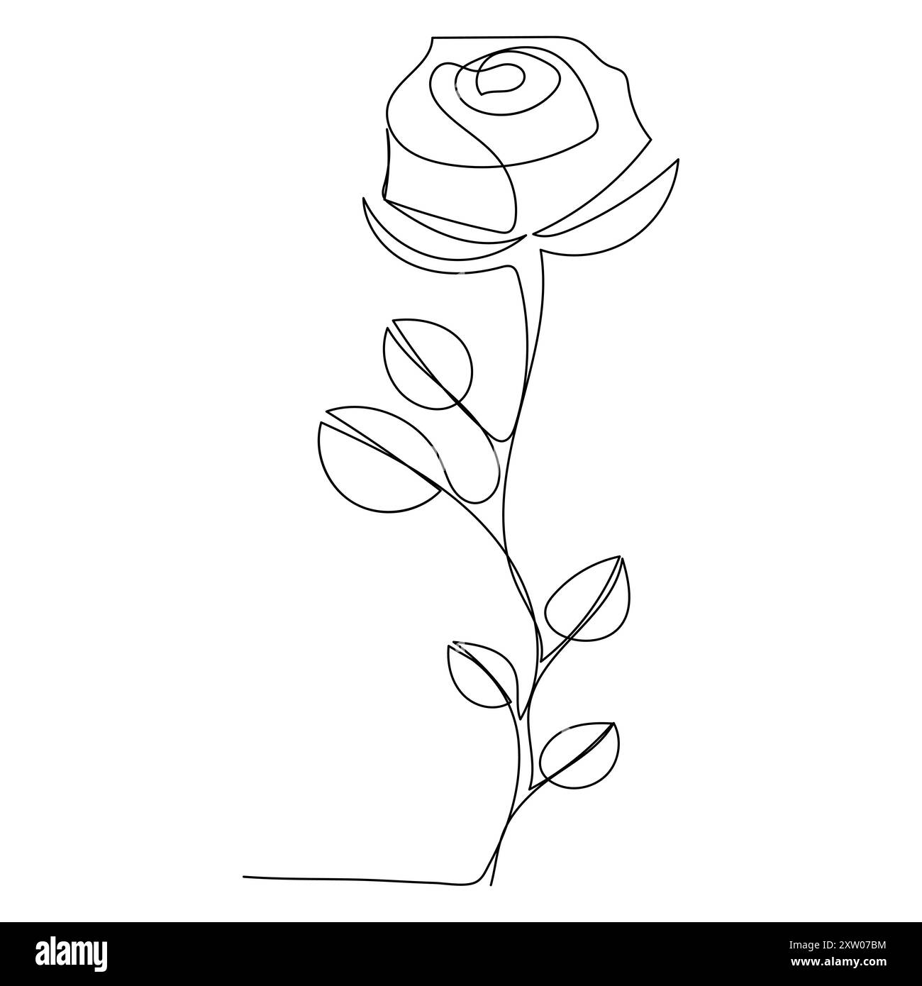 Continuous single One line rose design hand drawn drawing roses line ...