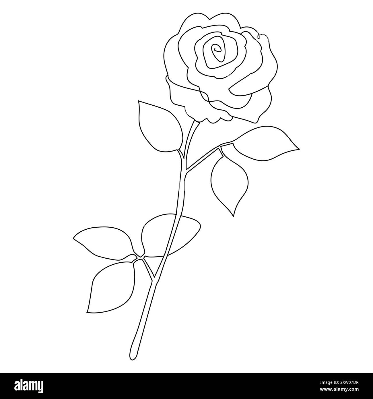 Continuous single One line rose design hand drawn drawing roses line ...