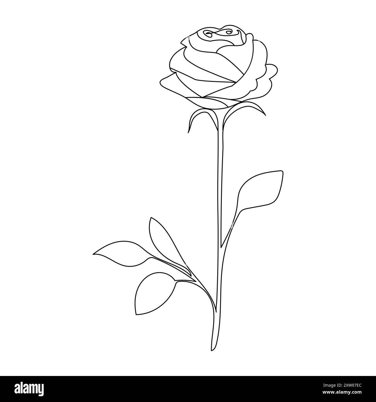 Continuous single One line rose design hand drawn drawing roses line art illustration Stock ...