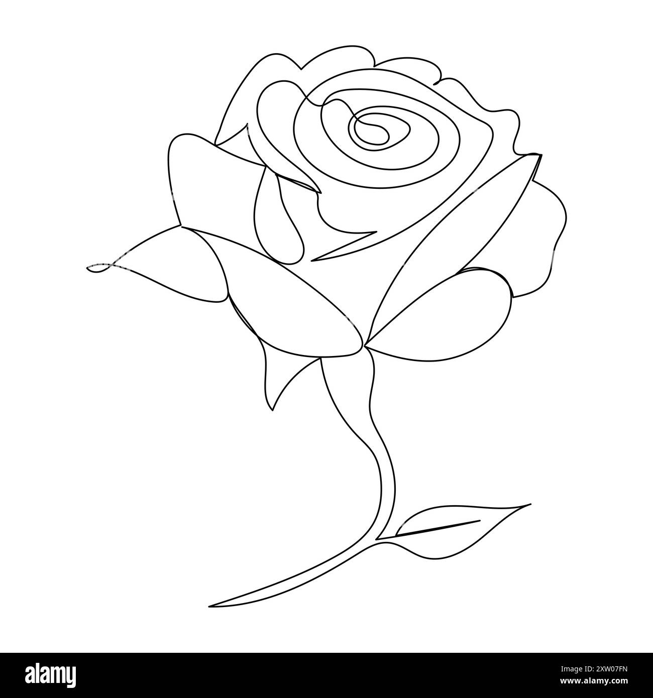 Continuous single One line rose design hand drawn drawing roses line ...