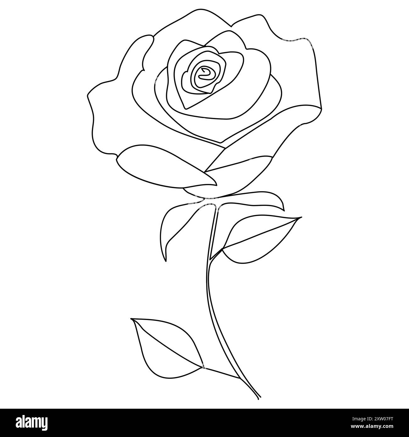 Continuous single One line rose design hand drawn drawing roses line ...