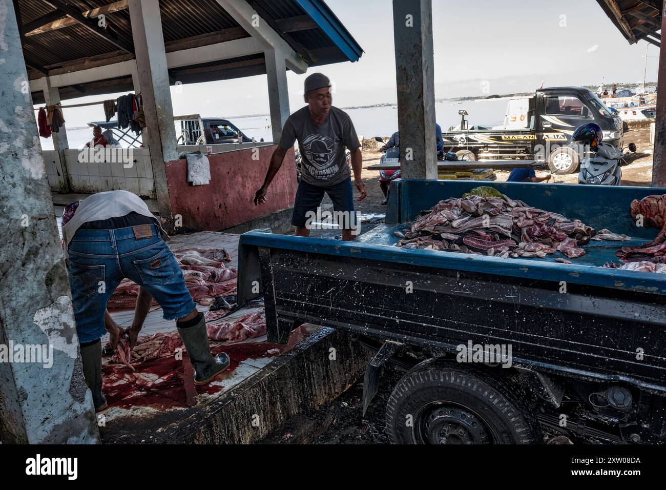 Tanjung luar fish market hi-res stock photography and images - Alamy