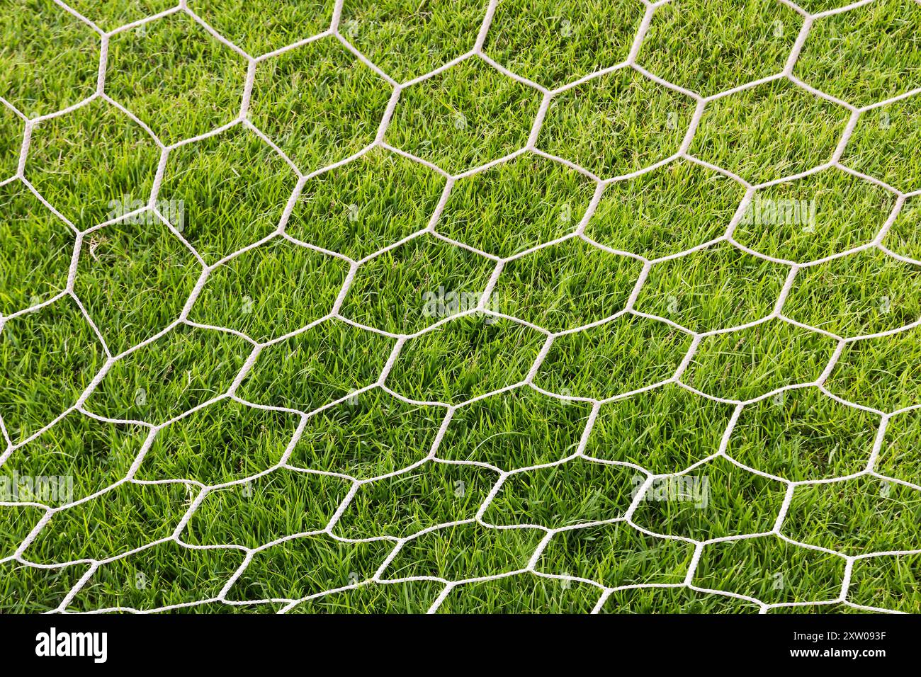 Back boundary line hi-res stock photography and images - Alamy