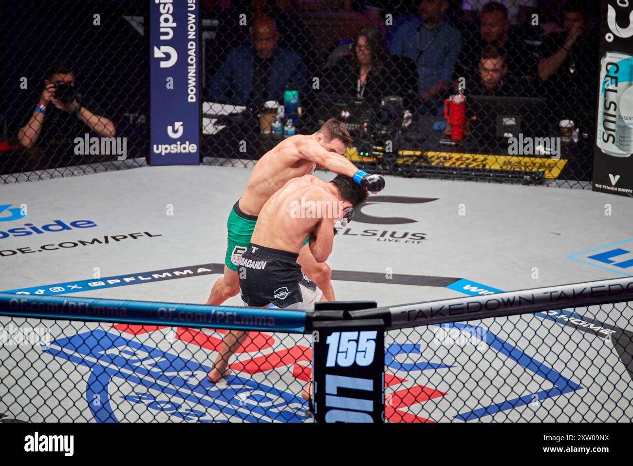 Pfl 2024 hi-res stock photography and images - Alamy