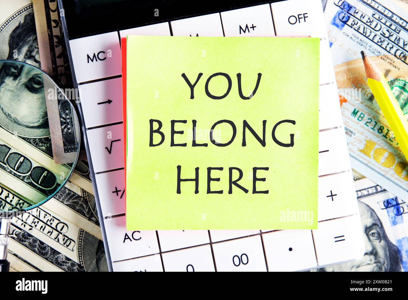 Diversity, inclusion, belonging and you belong here concept. YOU BELONG ...