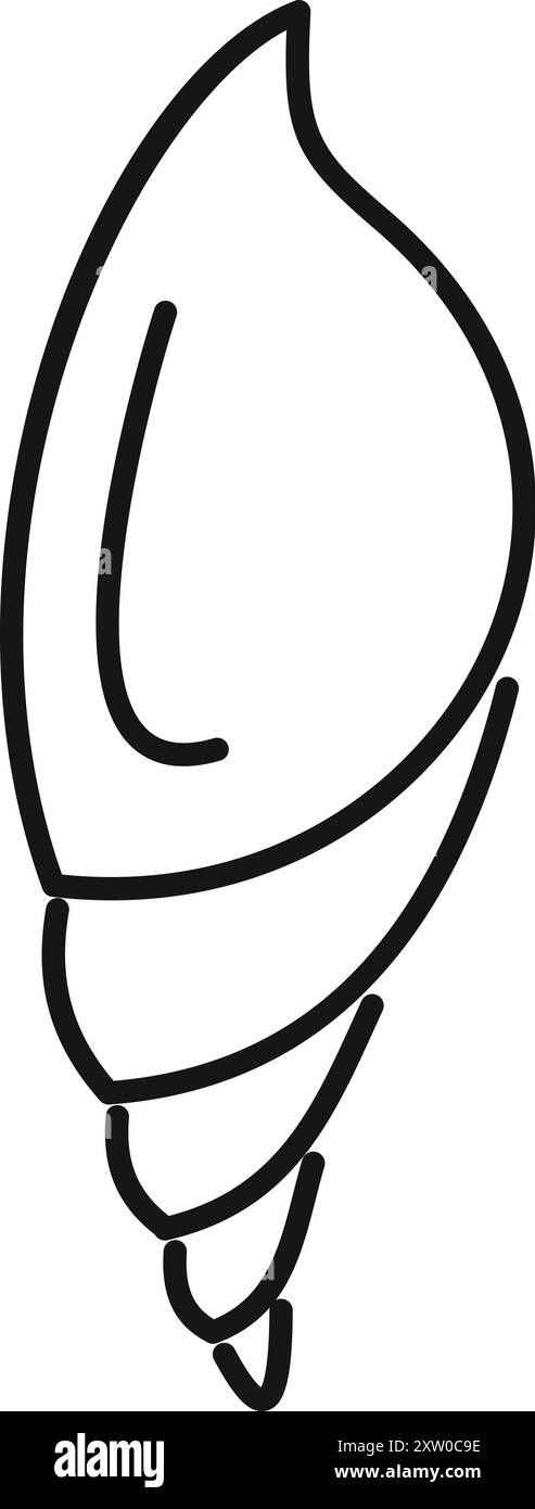 Simple line drawing of a large seashell, a marine gastropod mollusc, on ...