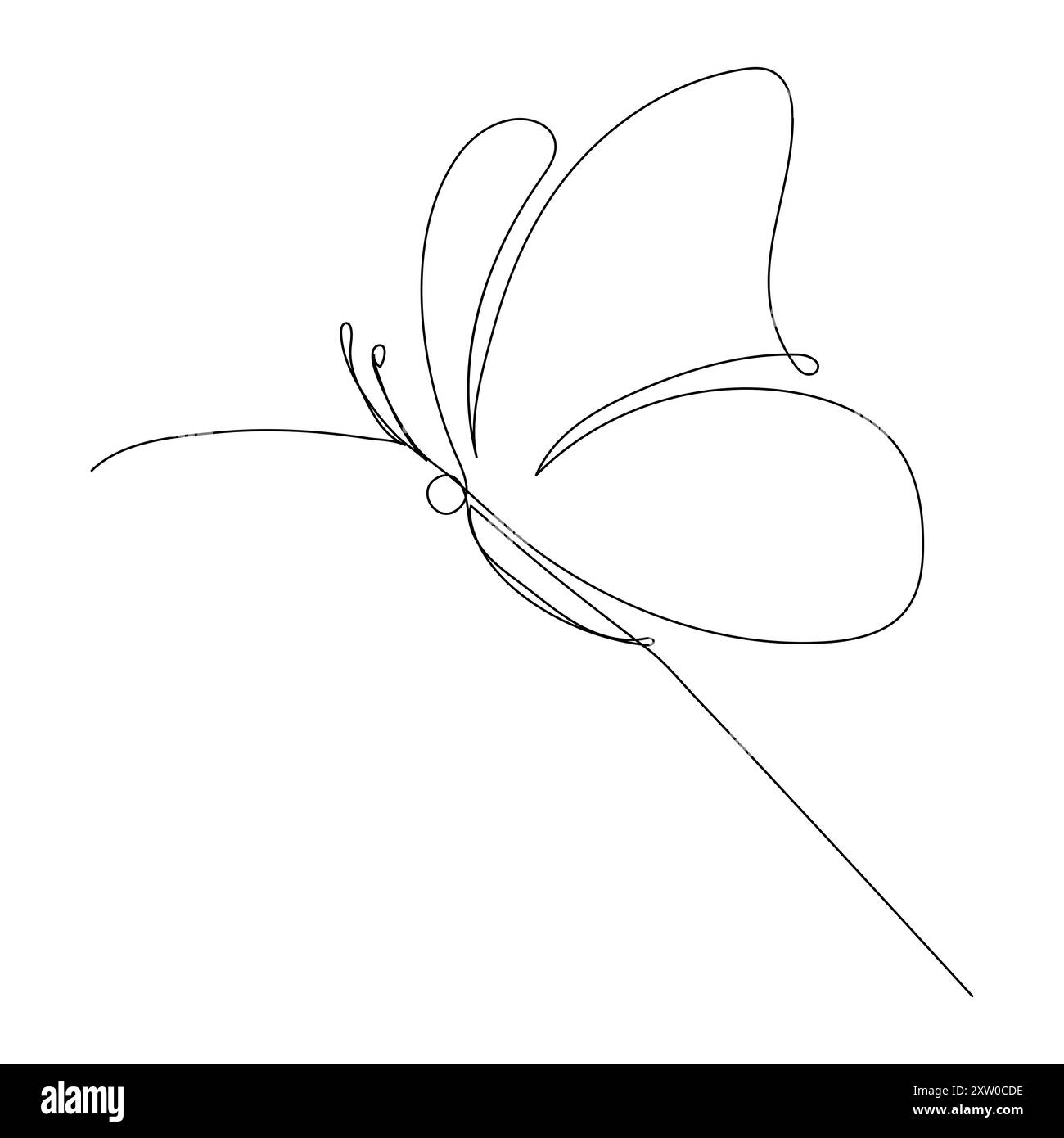 Continuous one line butterfly flying single line outline art drawing ...