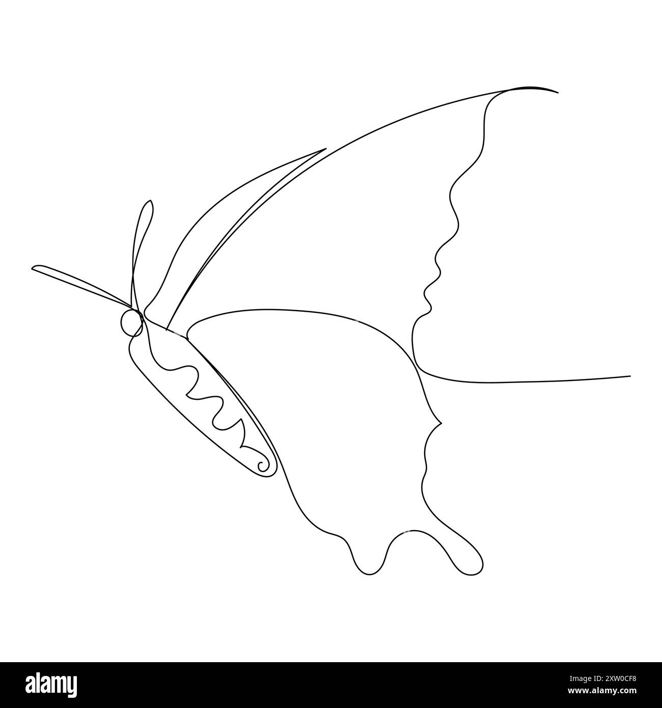 Continuous one line butterfly flying single line outline art drawing ...