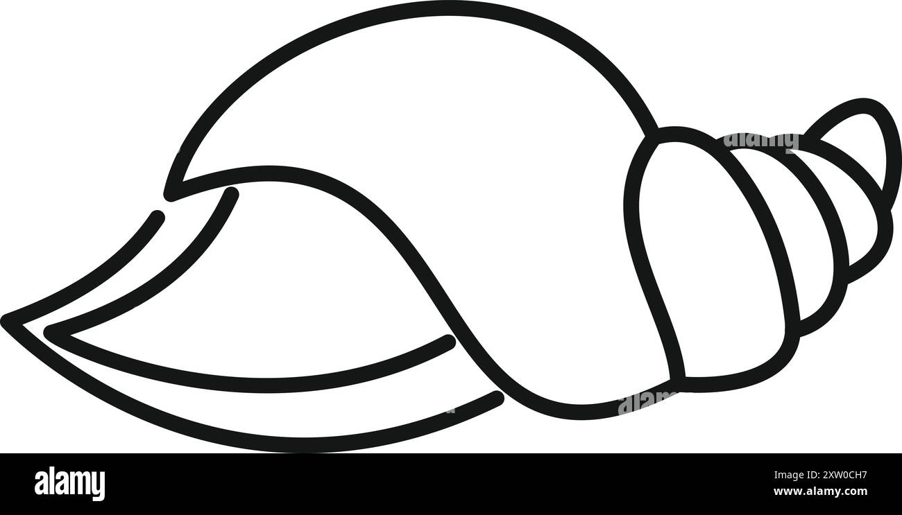 Simple line drawing of a seashell evoking beachcombing and ocean life ...