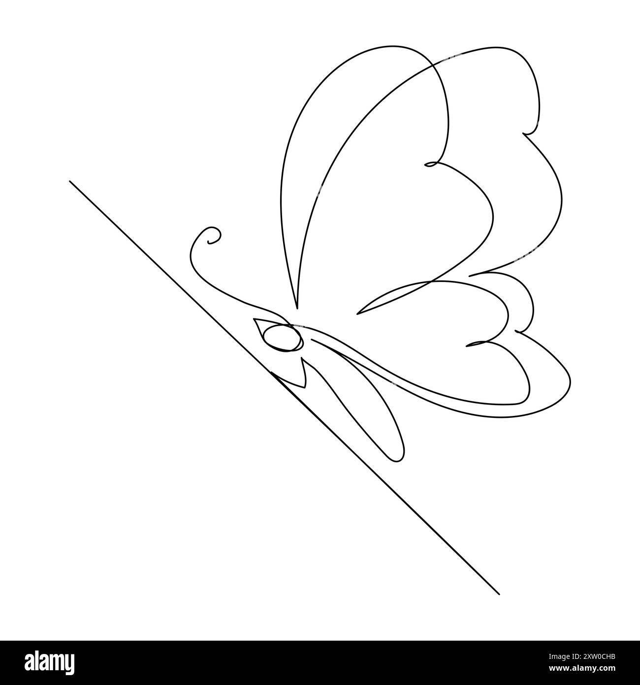 Continuous one line butterfly flying single line outline art drawing ...
