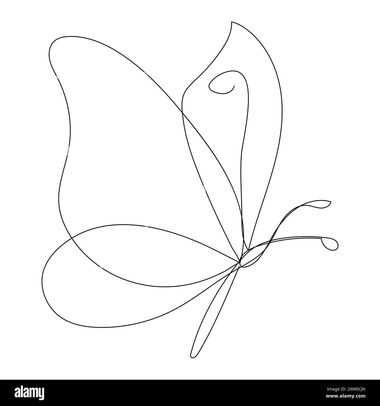 Continuous one line butterfly flying single line outline art drawing ...
