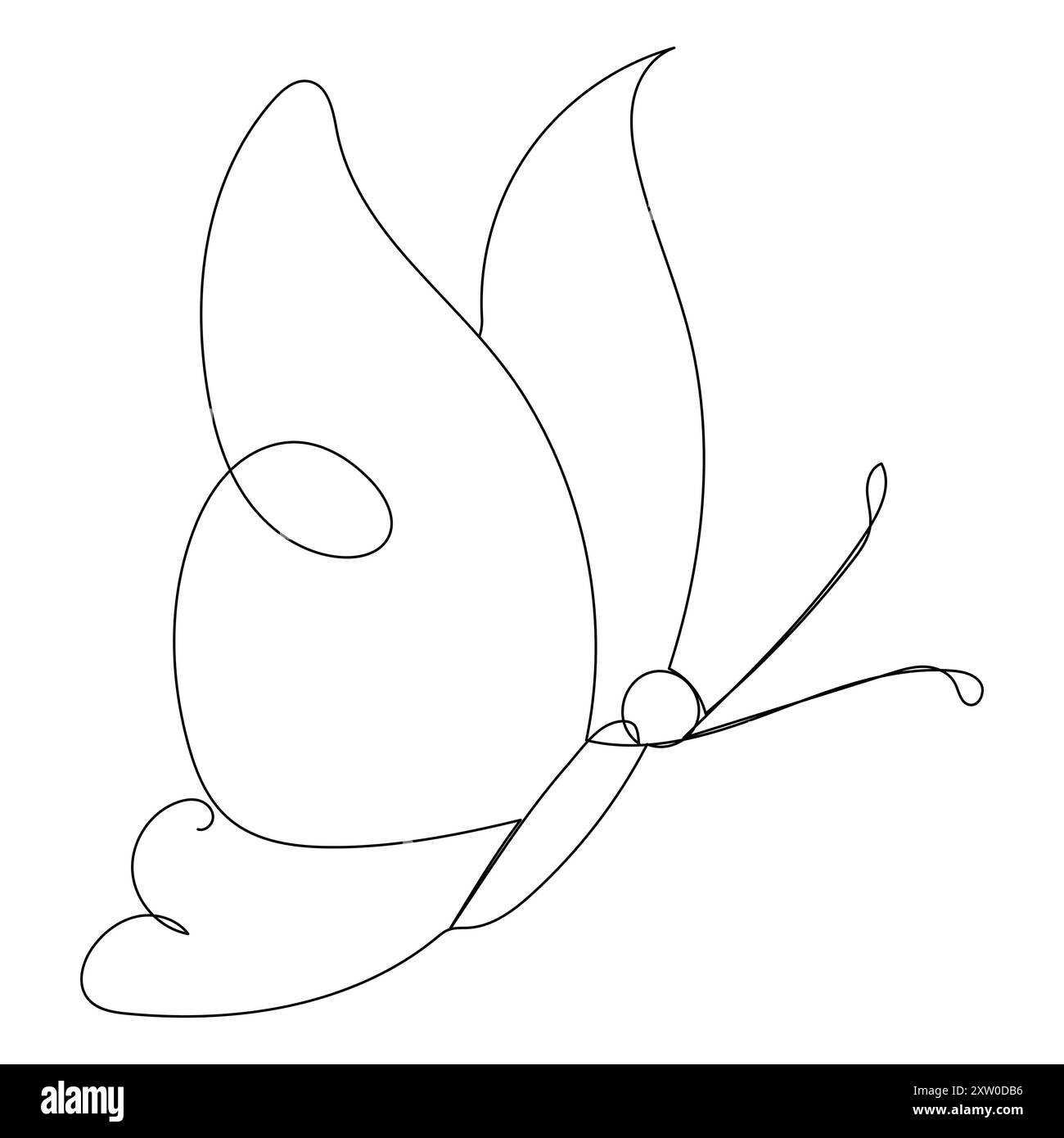 Continuous one line butterfly flying single line outline art drawing ...