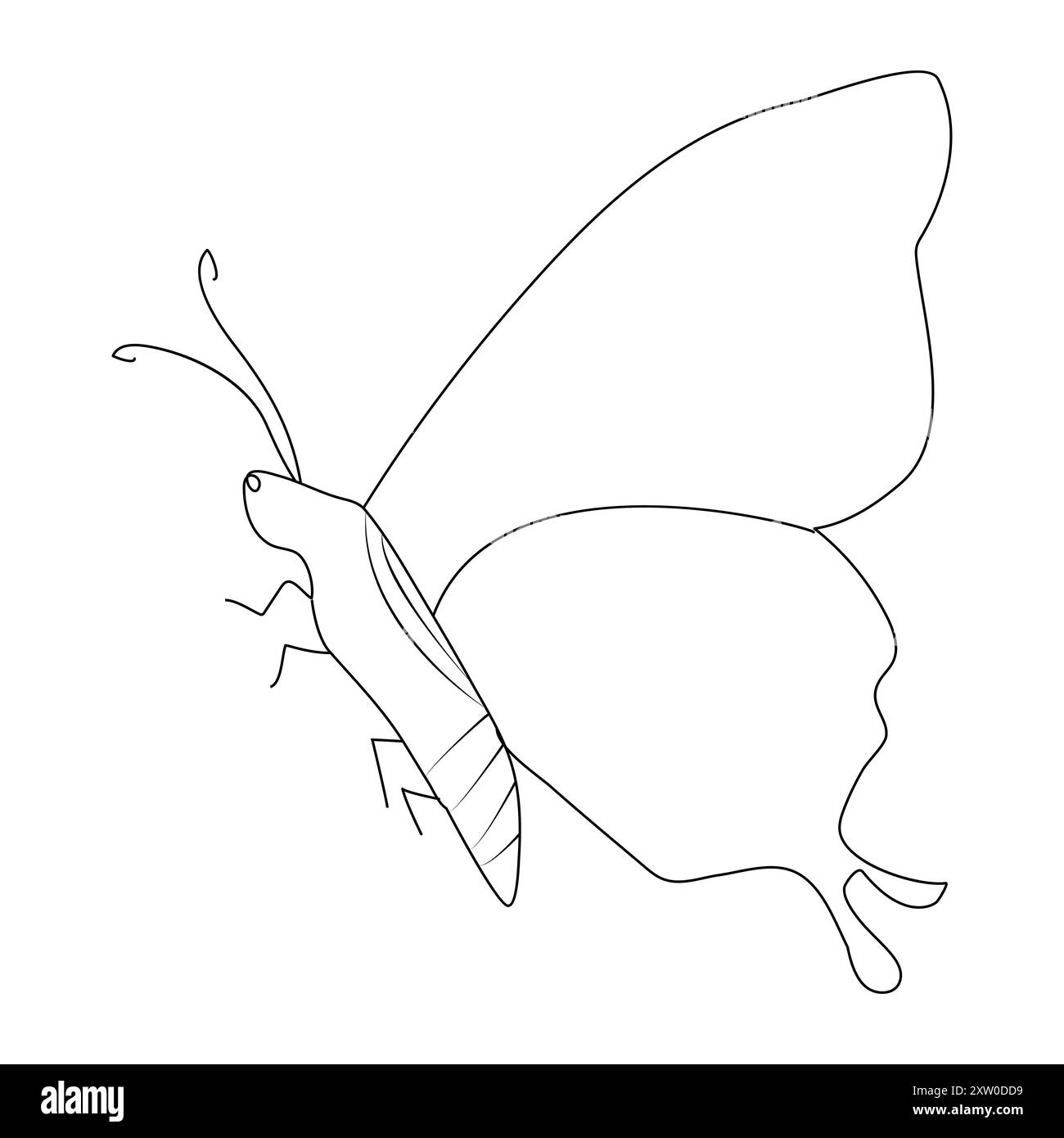 Continuous one line butterfly flying single line outline art drawing ...