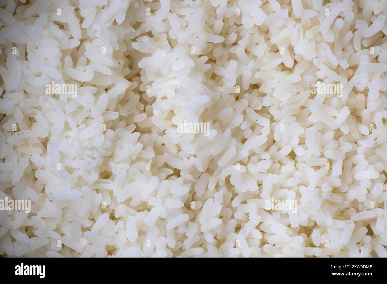 White background bangladesh hi-res stock photography and images - Alamy