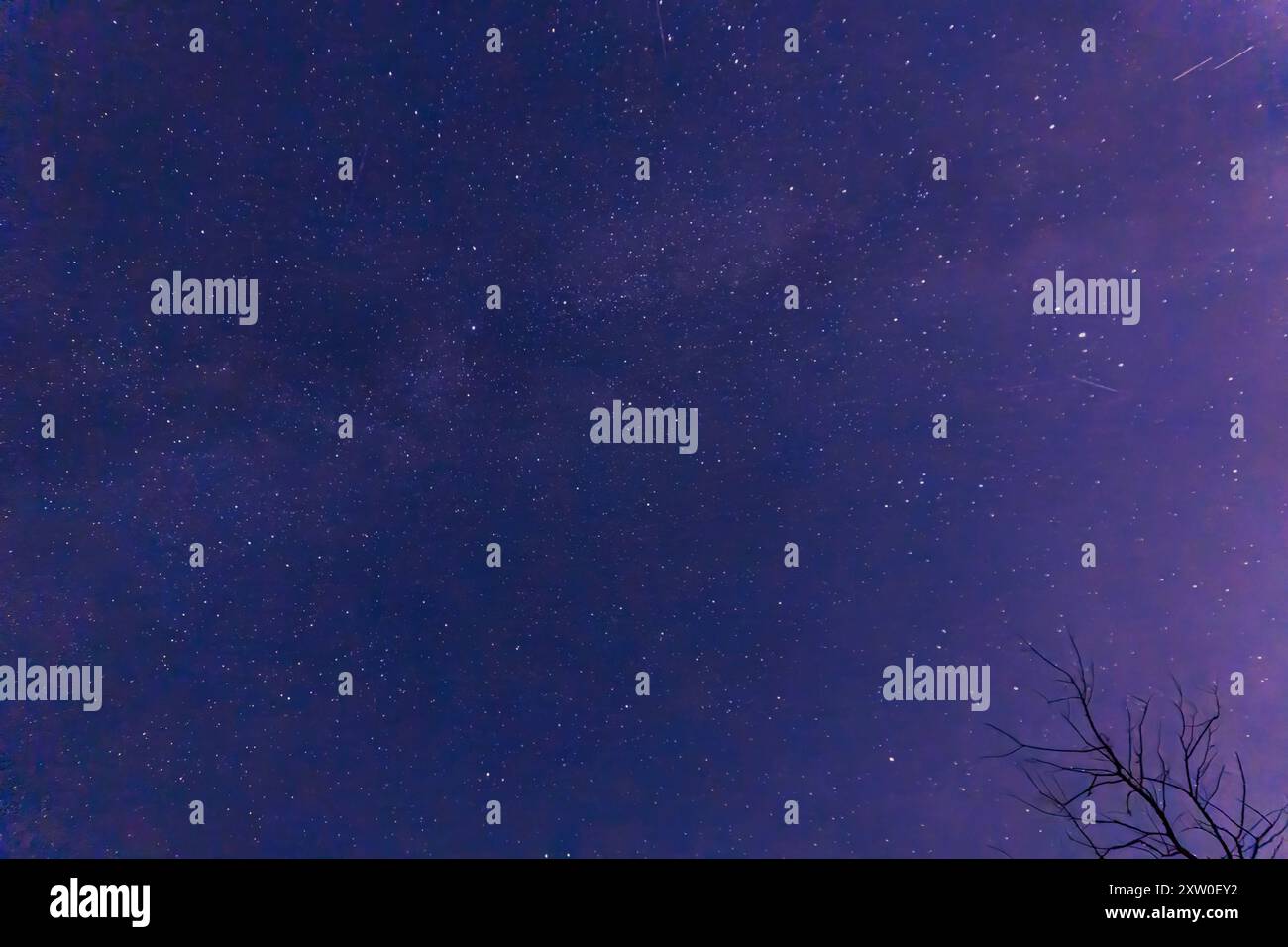 A starry night sky over a rural area of Suffolk, UK Stock Photo - Alamy