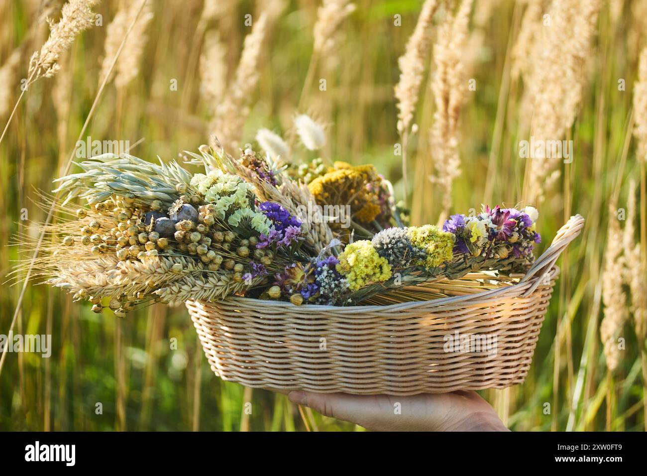 Assumption of Mary day. Rustic Wildflower Basket Stock Photo - Alamy