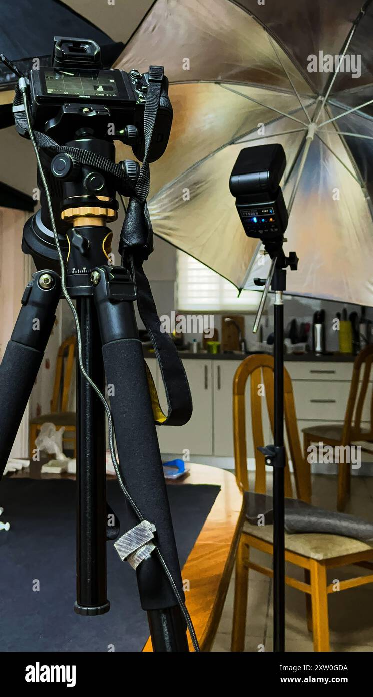 interior of professional photo studio with white background general ...