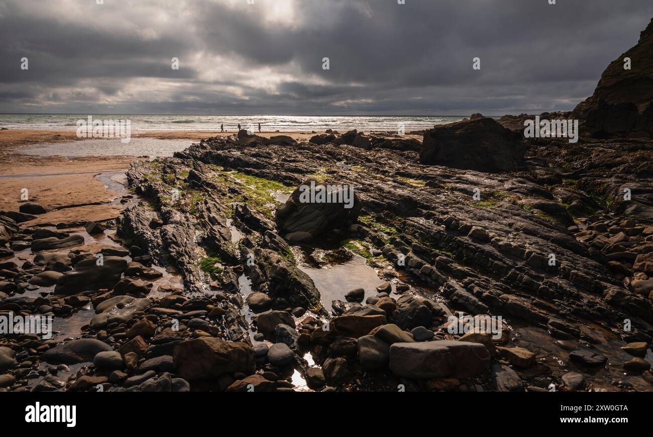Low tide at Duckpool beach on the Cornish coast in the west of England ...