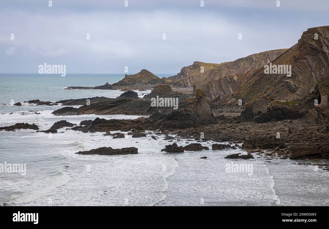 Low tide at the beach at Hartland Quay on the north Devon coast west ...