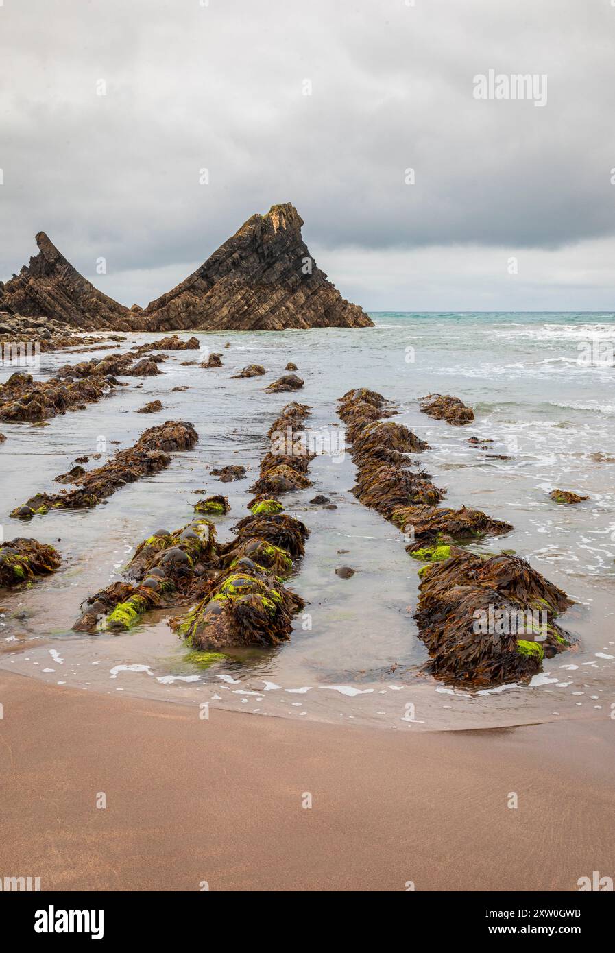 Low tide at the beach at Hartland Quay on the north Devon coast west ...