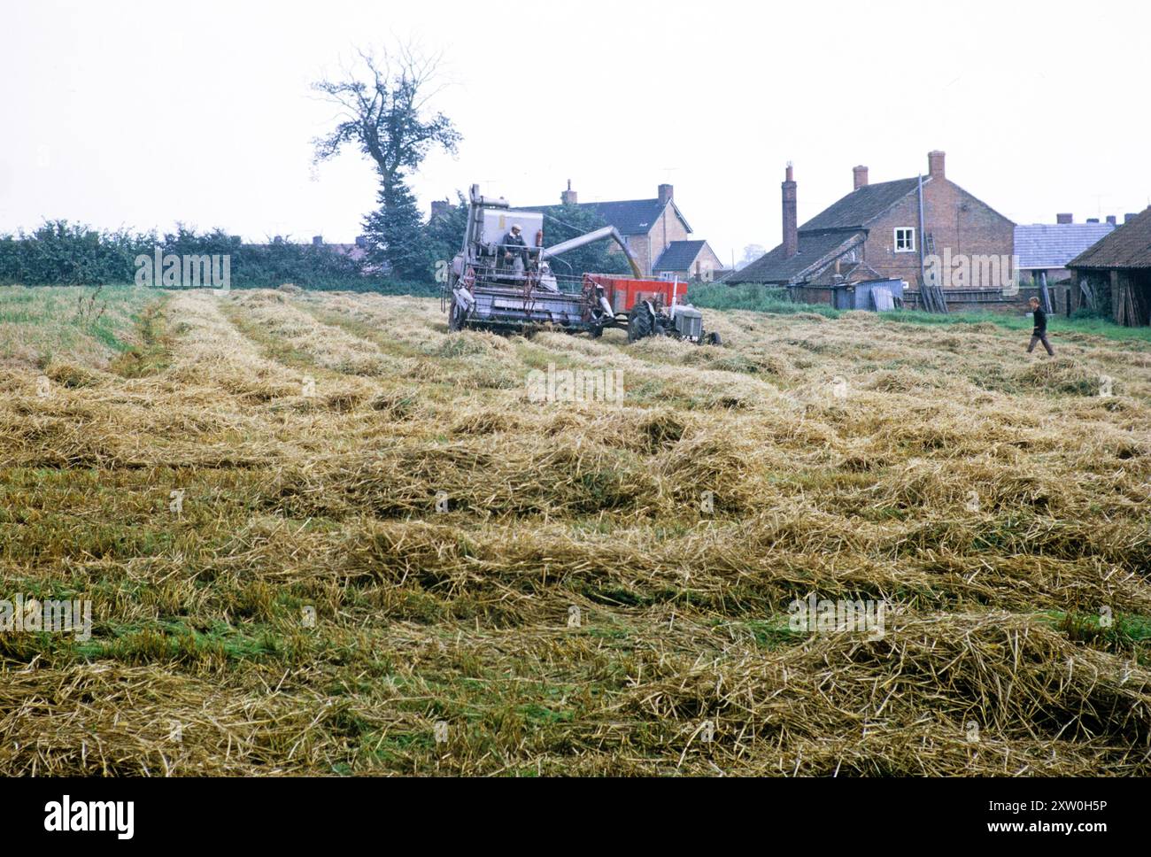 Claas combine harvester harvesting in field with tractor and trailer ...