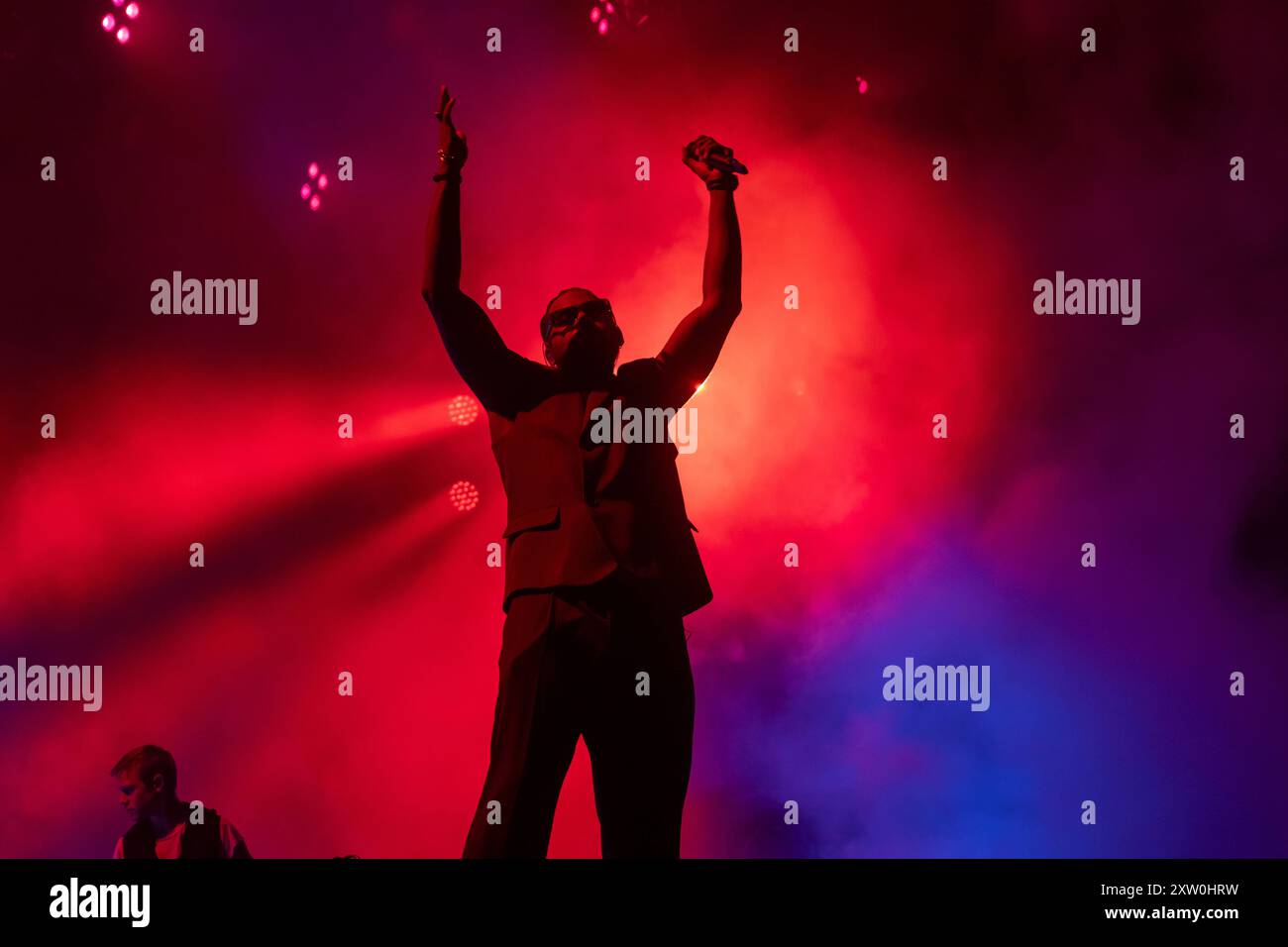 Der deutsche Sänger Peter Fox Pierre Baigorry auf dem Highfield 2024 ...