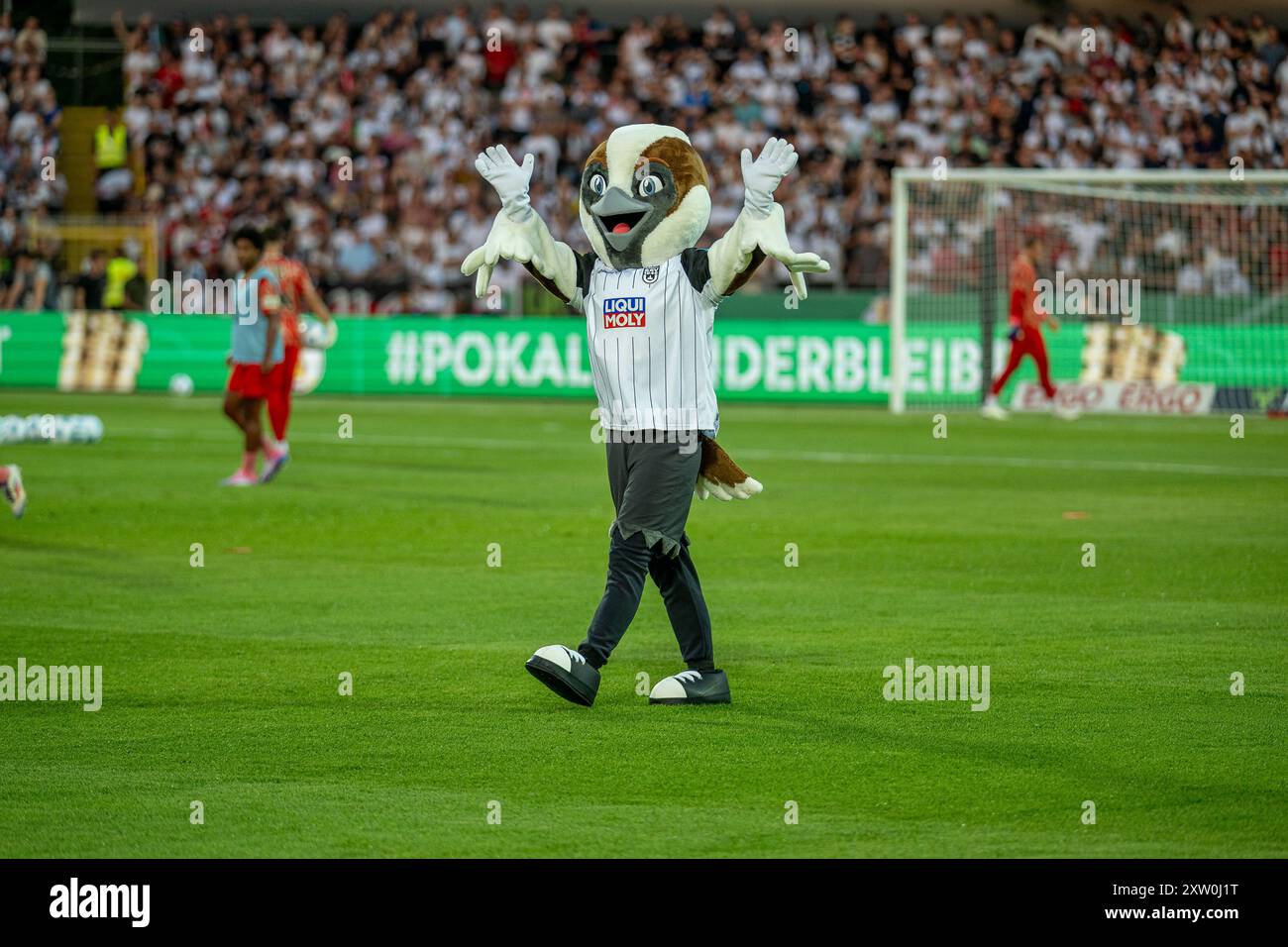 Maskottchen Albert, GER, SSV Ulm vs. FC Bayern Muenchen, Fussball, DFB ...