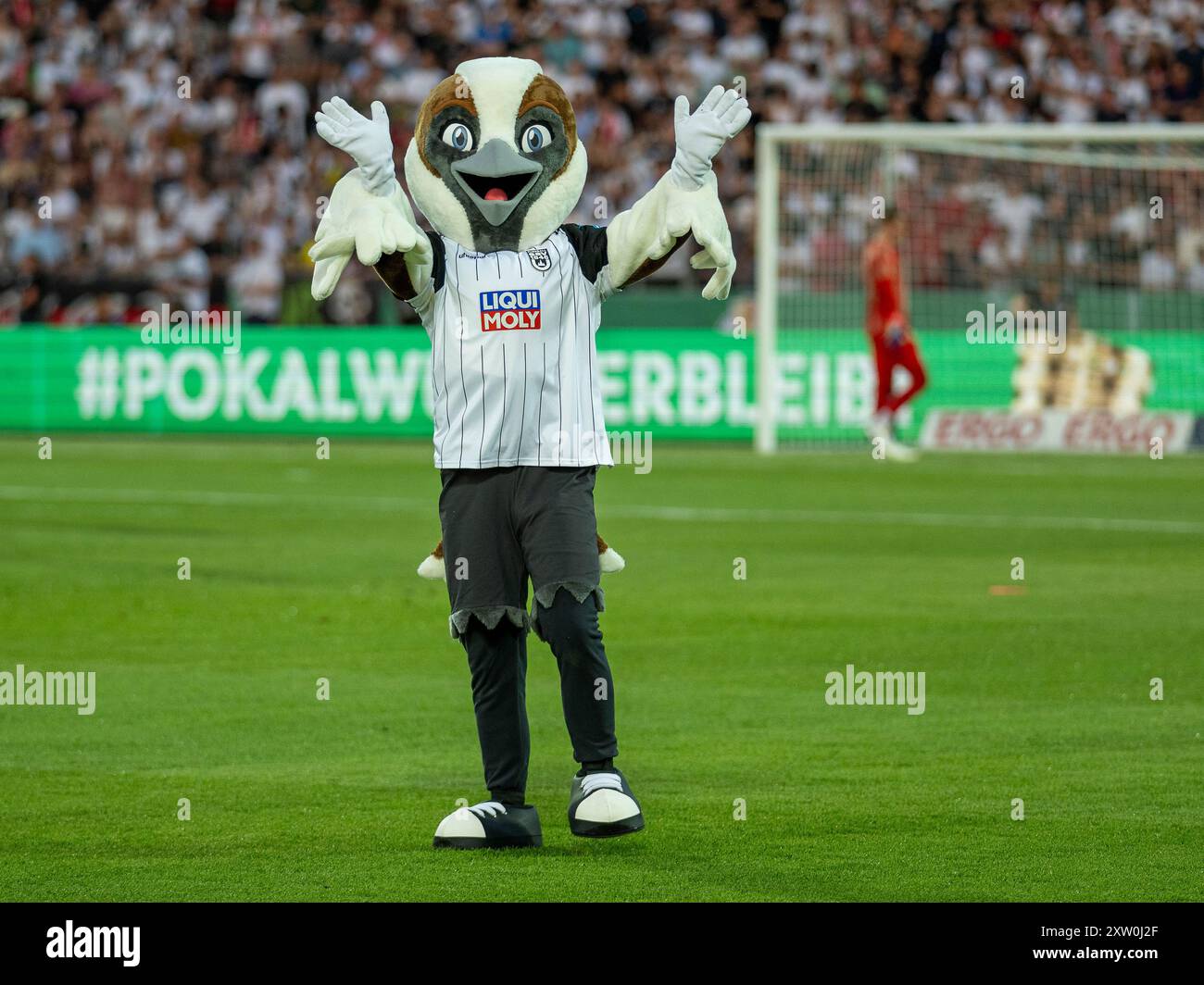 Maskottchen Albert, GER, SSV Ulm vs. FC Bayern Muenchen, Fussball, DFB ...