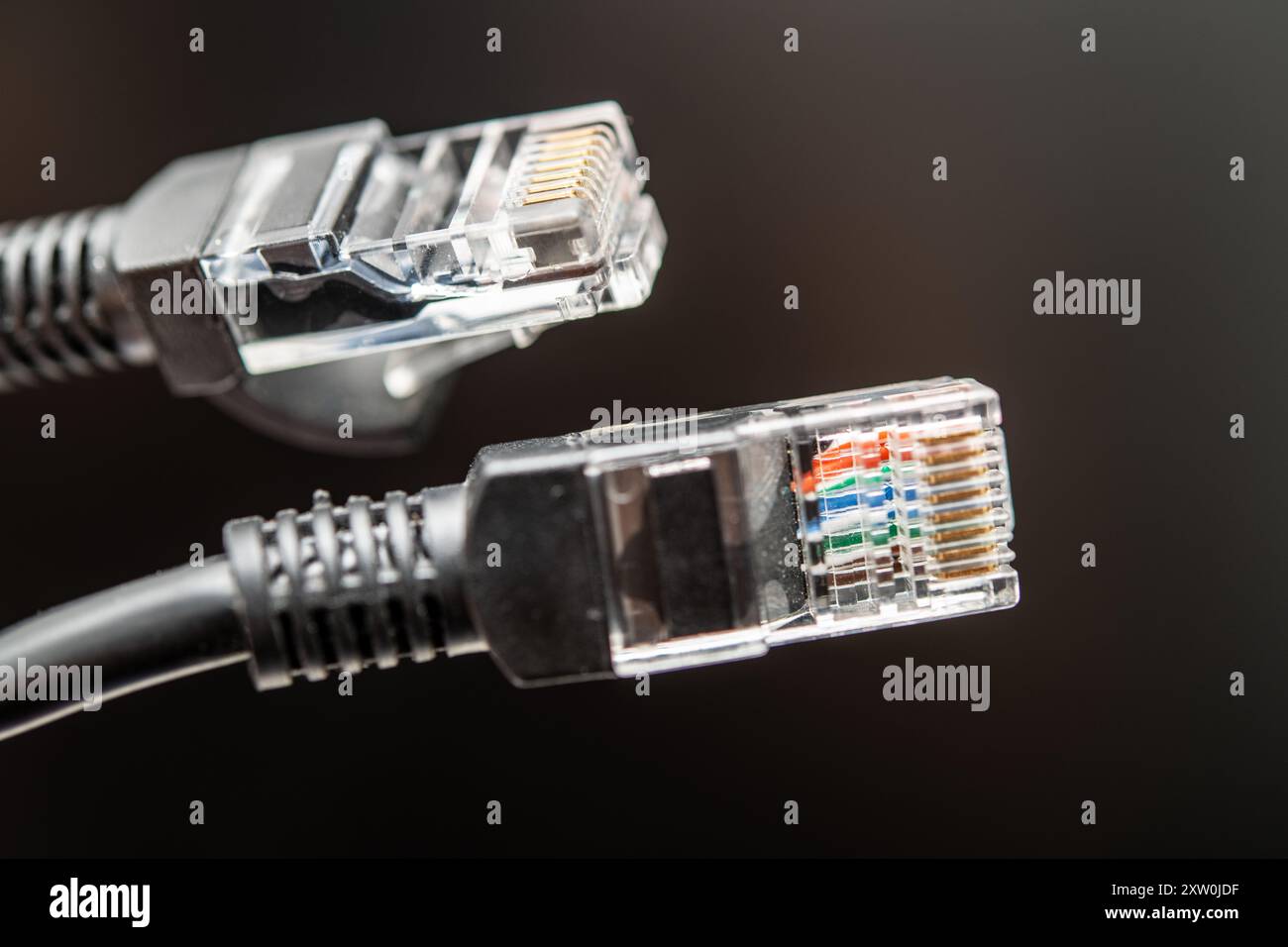 Two network Ethernet cables featuring clear connectors and detailed wiring. Perfect for ...