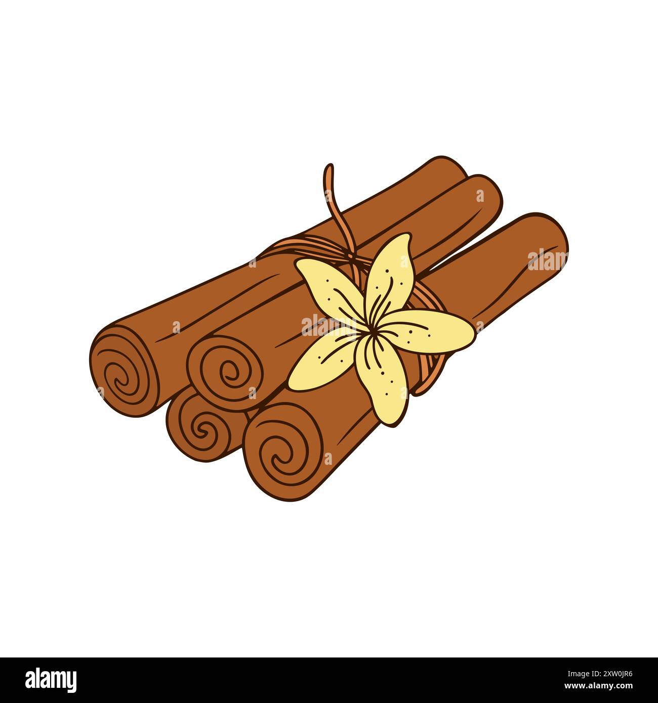 Cinnamon sticks and vanilla flower doodle color drawing on white ...